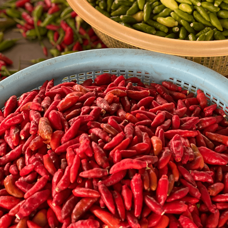 Red Bird's Eye Chili - Information, benefits and recipes