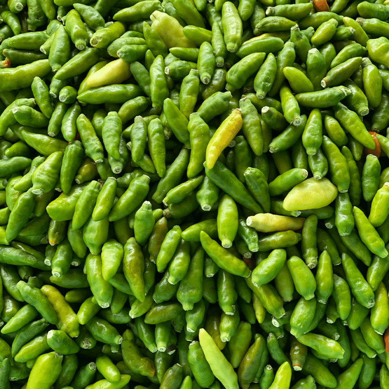 Green Bird's Eye Chili - Information, uses and benefits