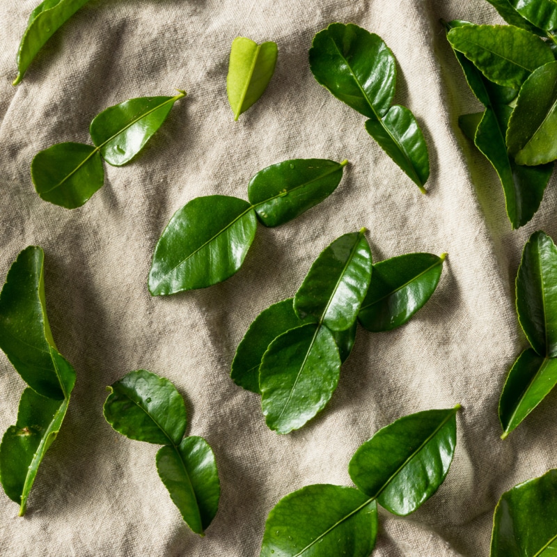 Le Combava : un agrume aux multiples bienfaits