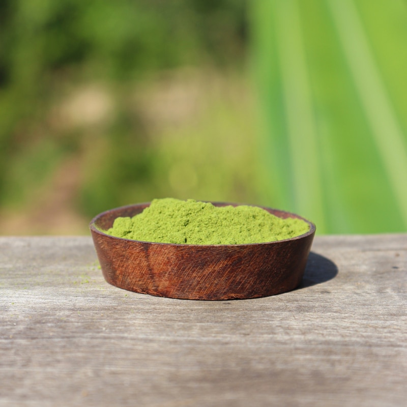 Moringa en poudre - Informations, utilisation et bienfaits