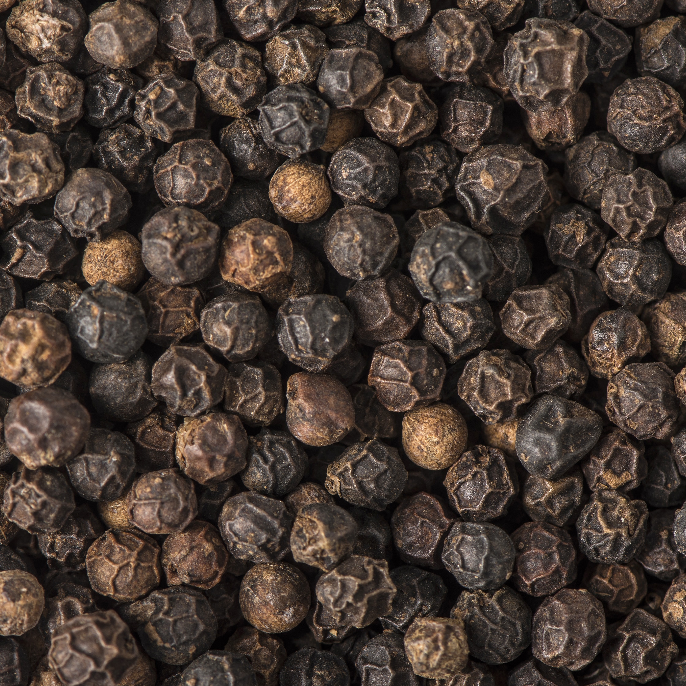 Storing your spices : Our ultimate guide