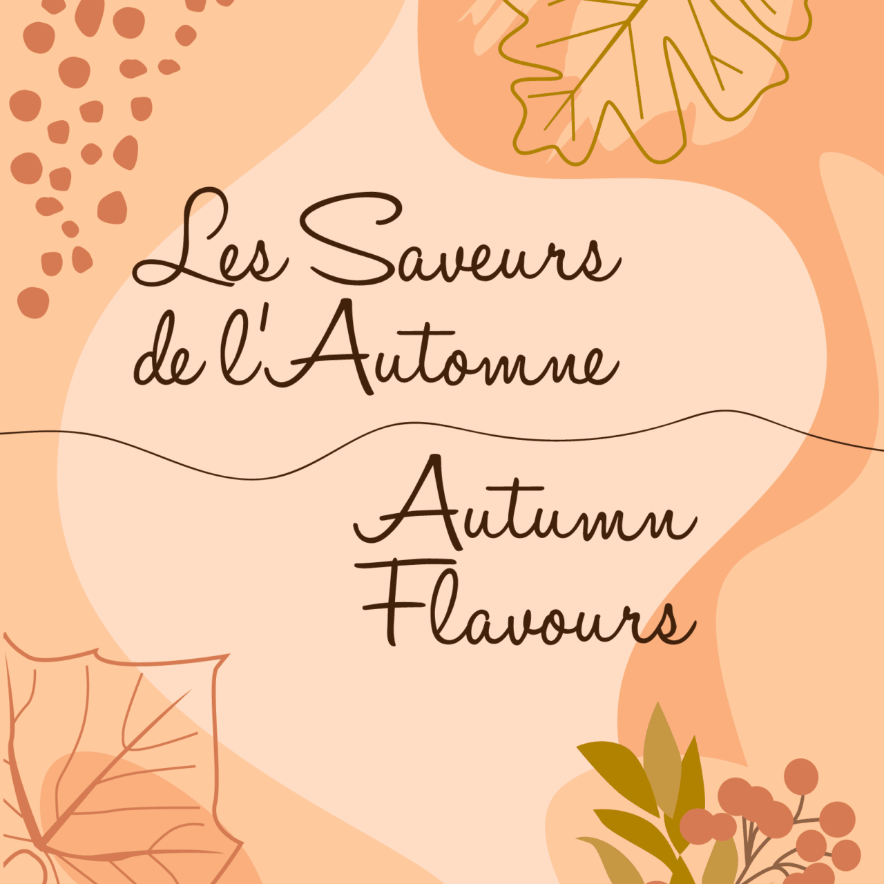 Wild Cardamom - Information, uses and recipes