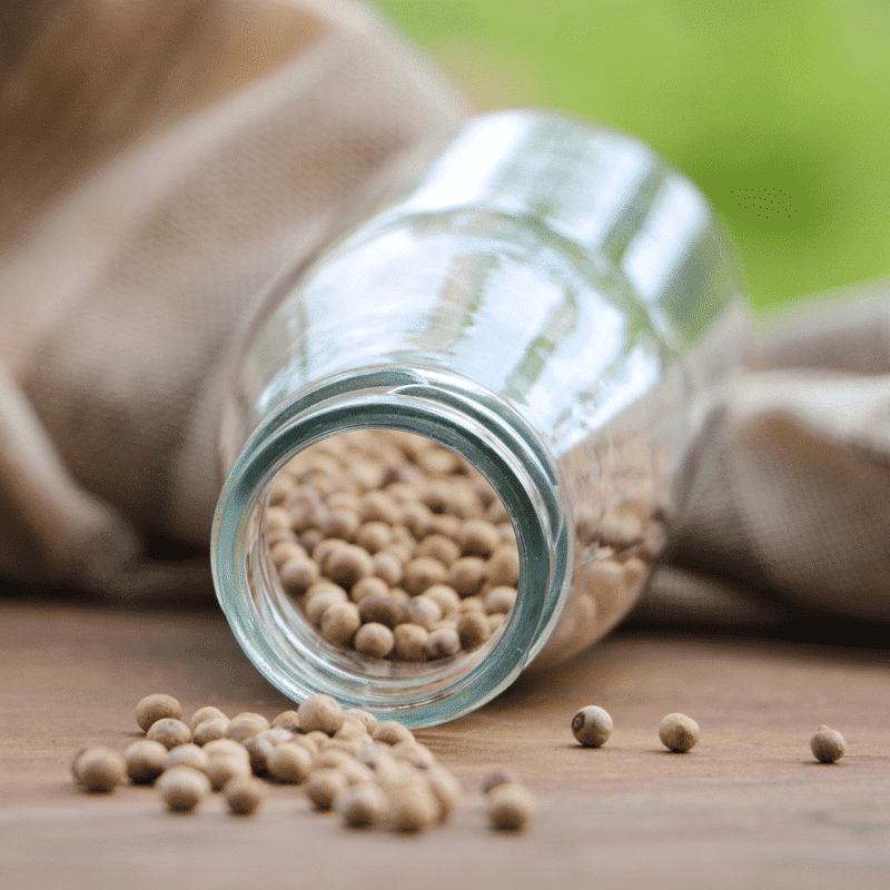 Discover the Birds Pepper, the most unique pepper in the world - La ...