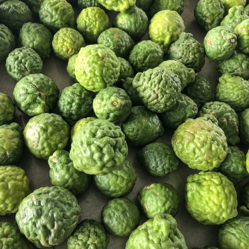 Le Combava : ses bienfaits et comment bien l'utiliser