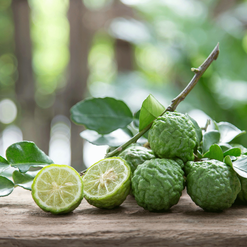 Comment utiliser le Combava dans vos recettes de cuisine