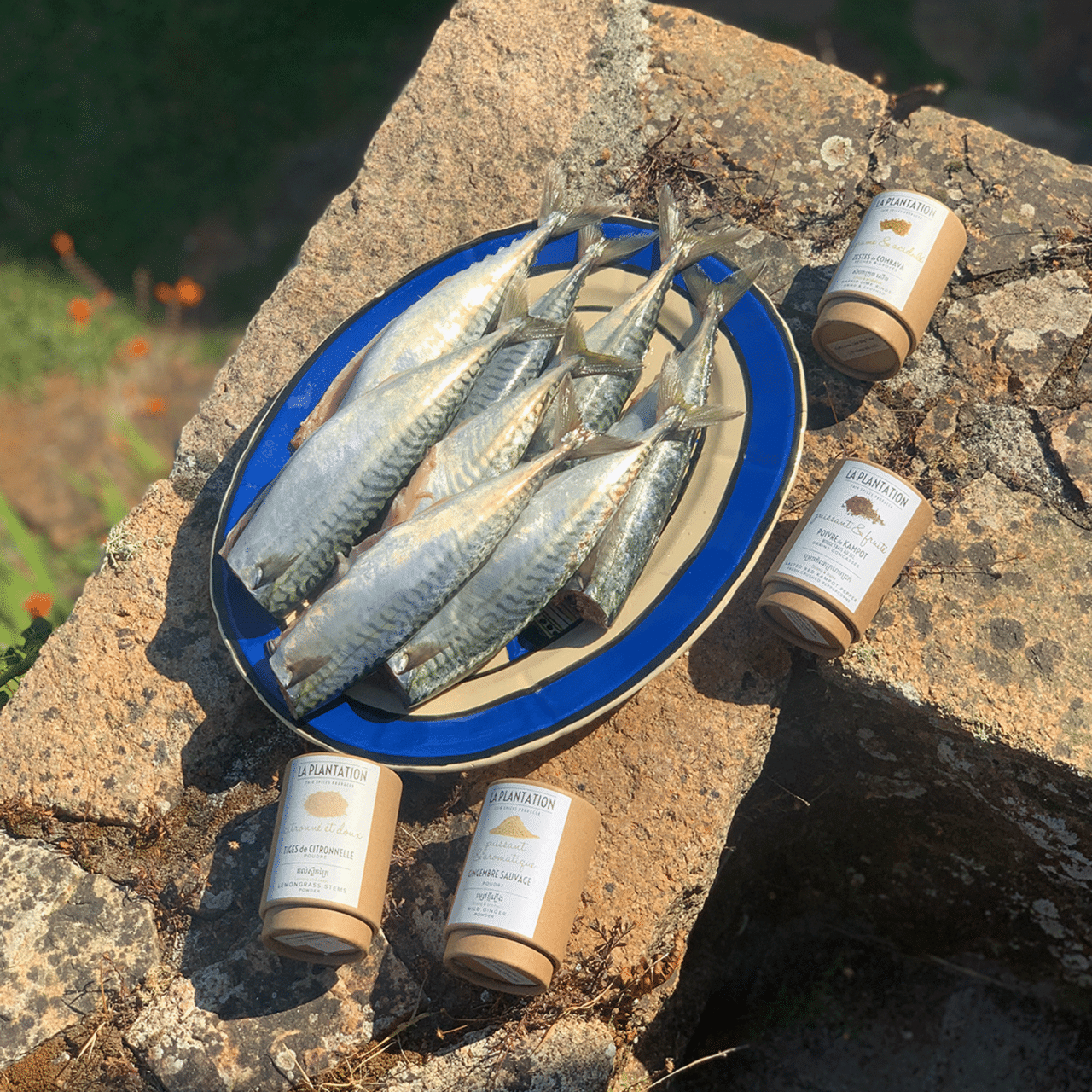 How to Season Fish: Best spices and cooking tips for every type