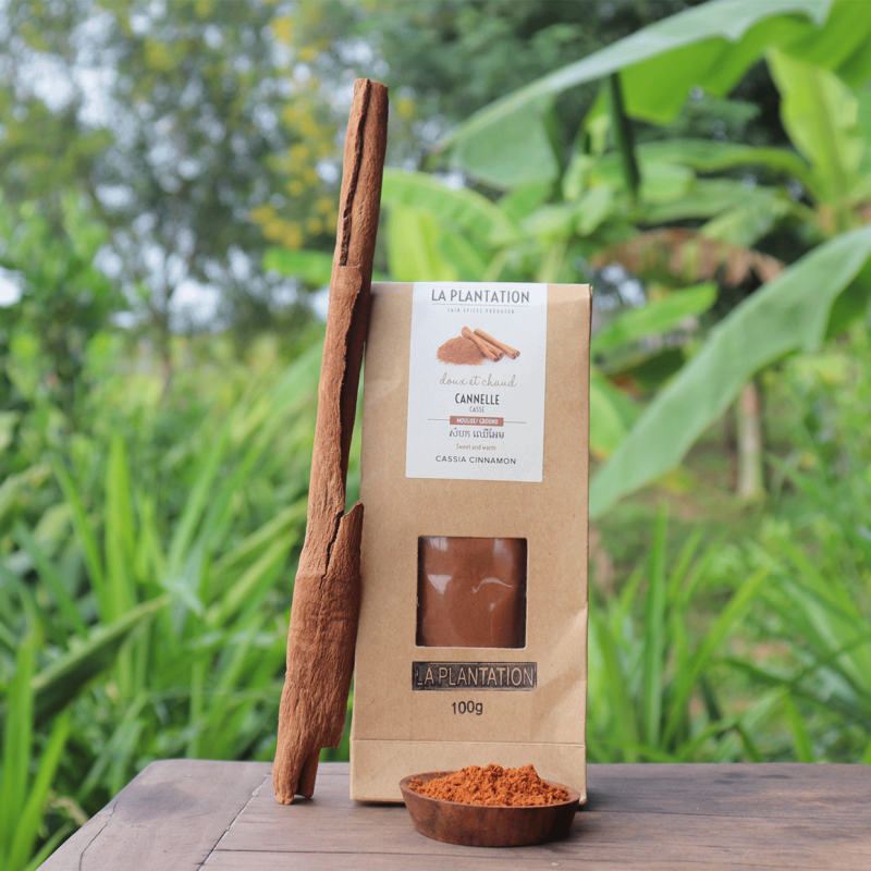 La cannelle, ses différentes variétés et les façons de la consommer