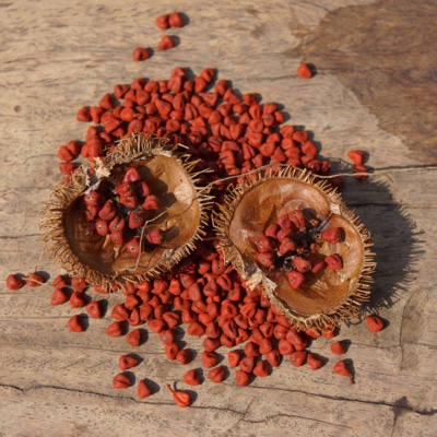 Graines de Roucou - Informations, utilisation et recettes