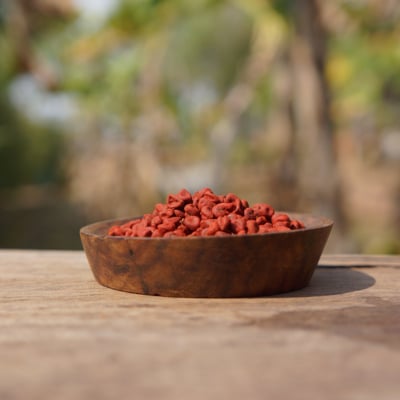 Graines de Roucou - Informations, utilisation et recettes