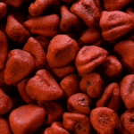 On vous en dit plus sur le Roucou