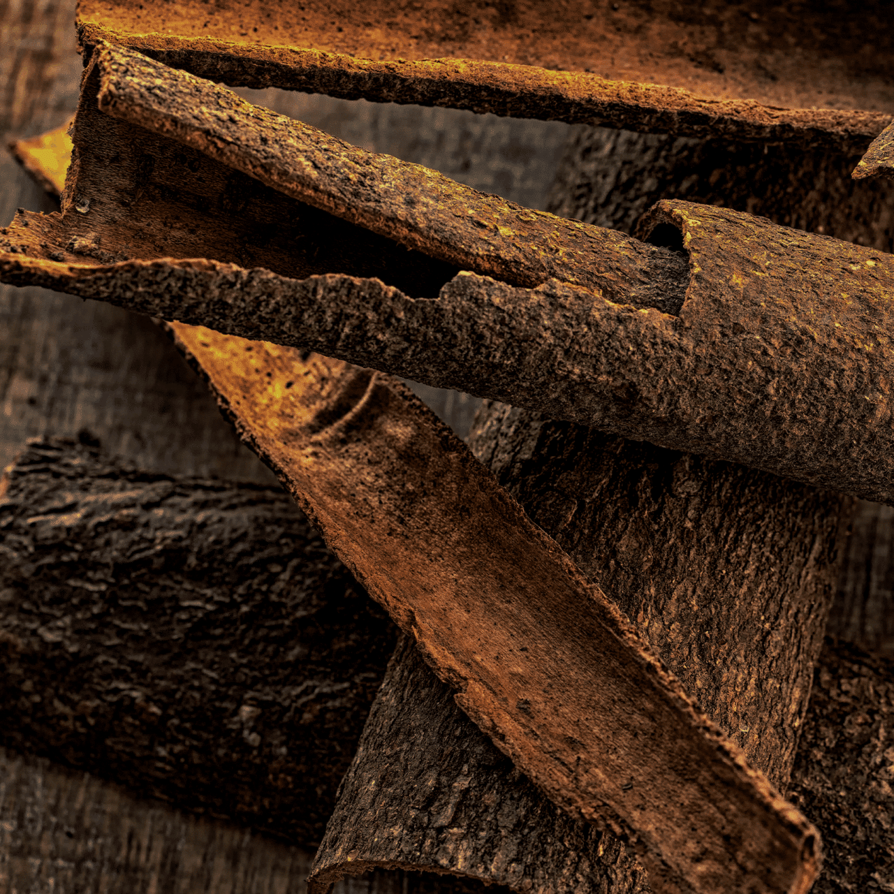 Chai : Histoire, vertus et utilisation en cuisine