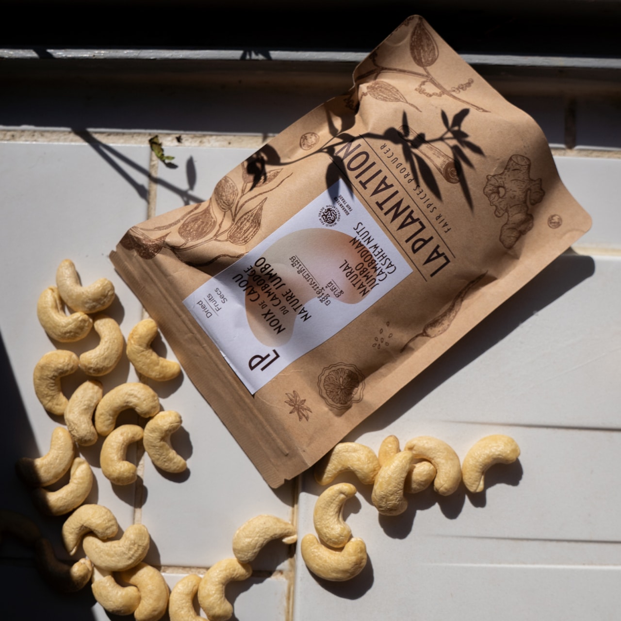 Jumbo cashew nuts - Info and Health benefits