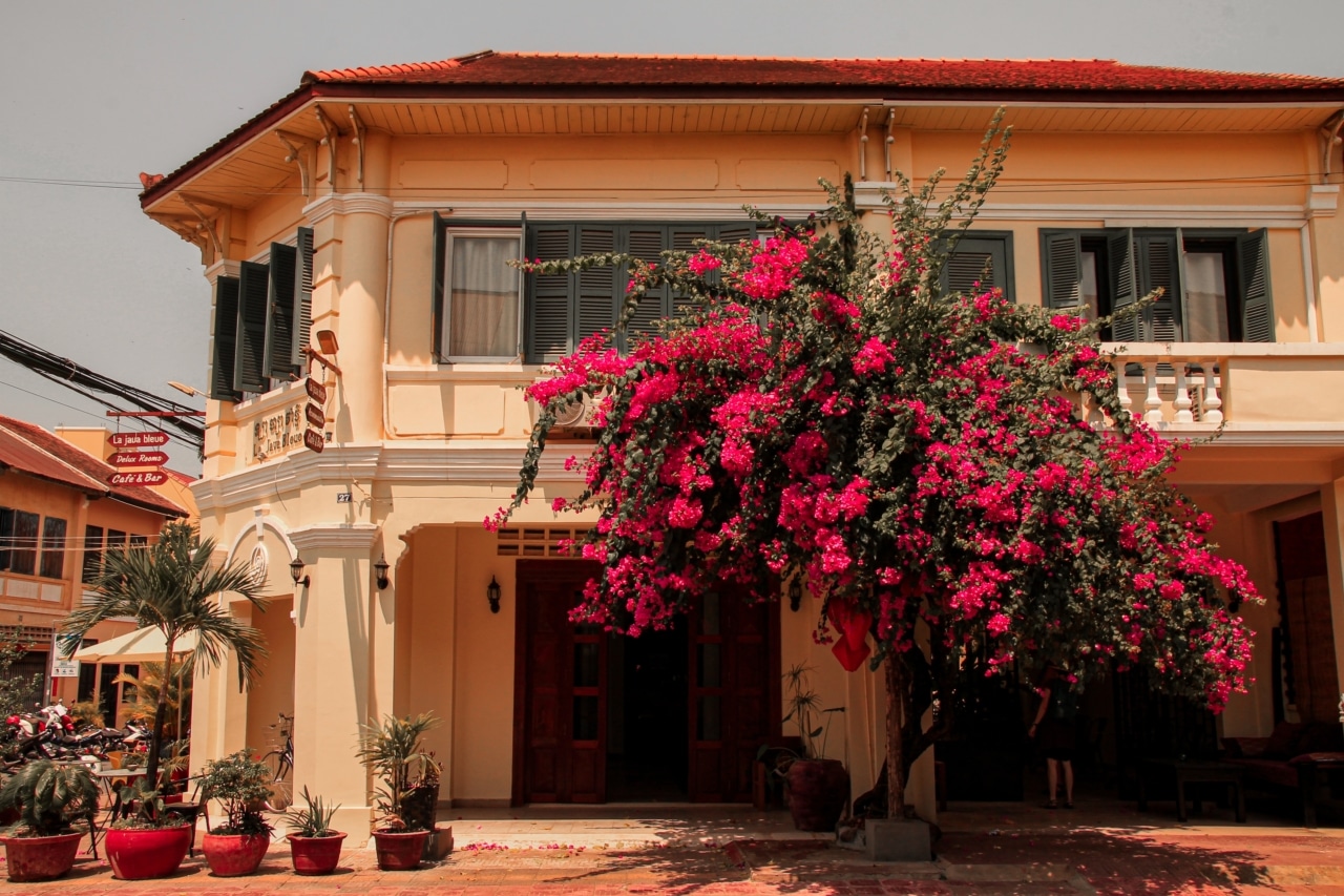 Come and discover our products and our social project