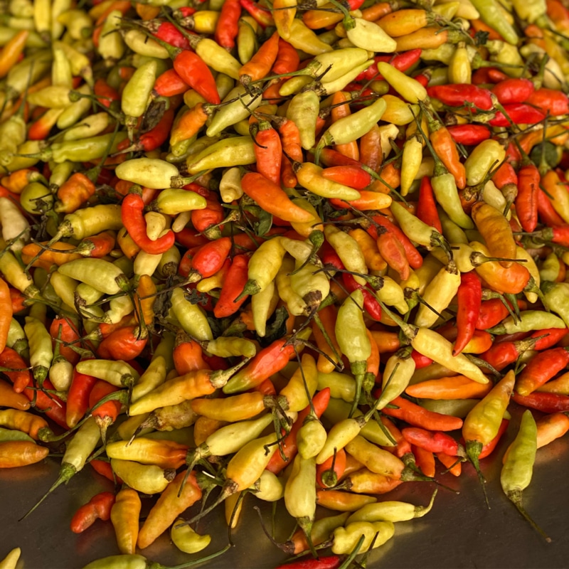 Bird's eye chili: All you need to know about this spice